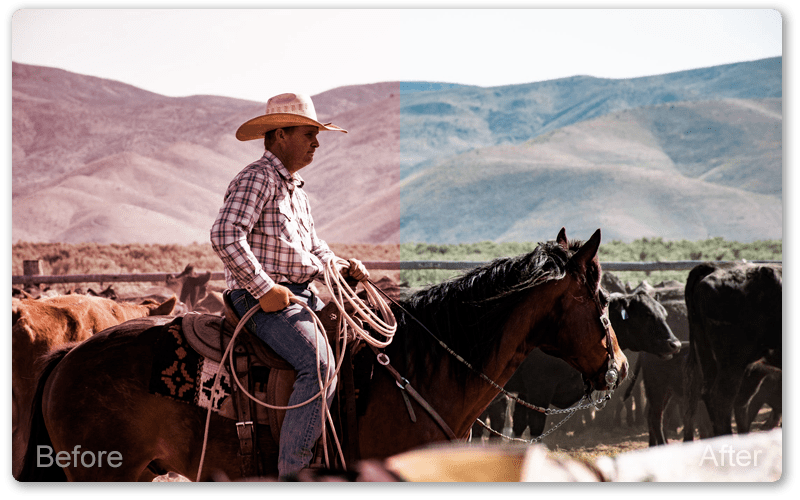 Enhance color & contrast online | neural.love